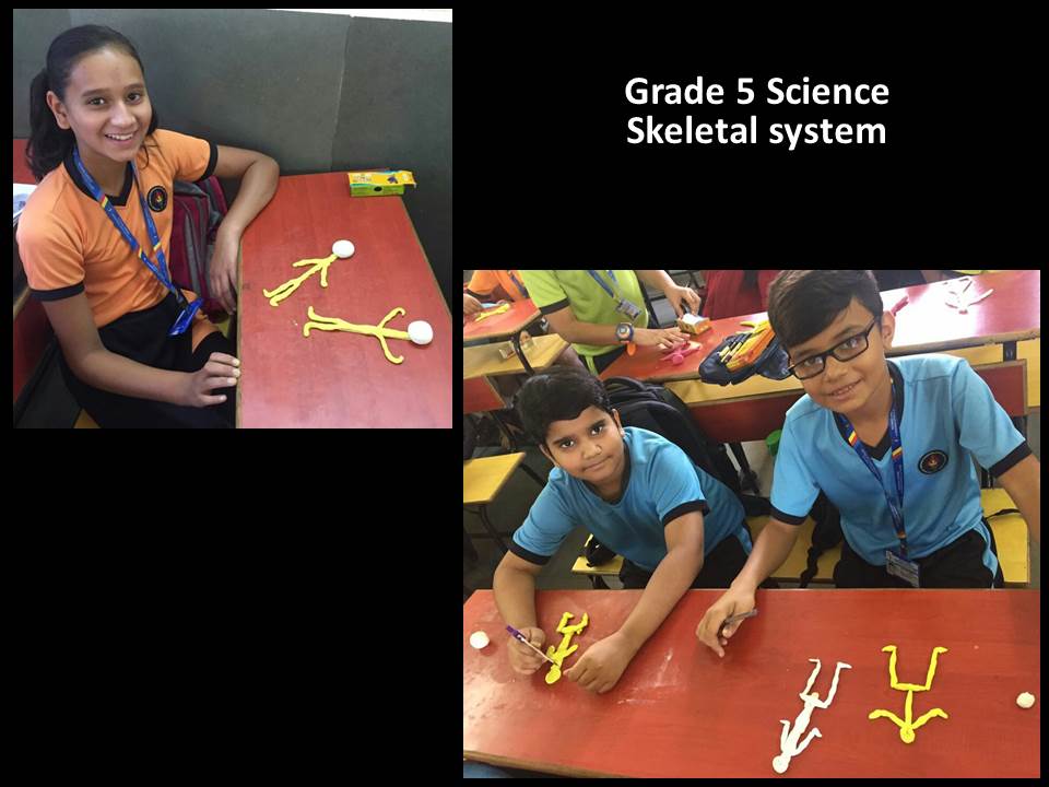 The Rustomjee Cambridge Diaries: Grade 5 Science Skeletal System