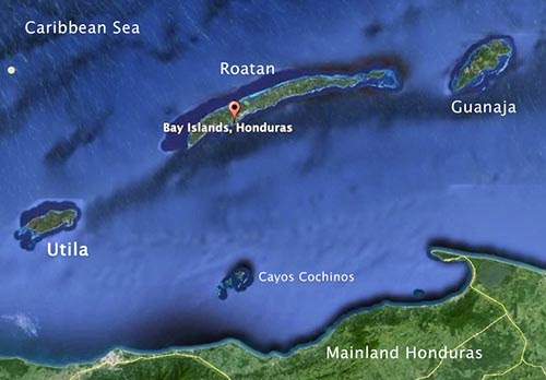 My Roatan - Adventures in Creating Nirvana: video: if you come to utila