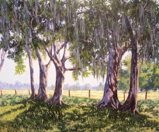 Tree Painter: Tree Portraits