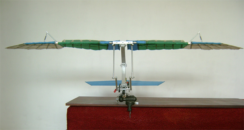 Flapping Wing: Ornithoid with passive articulated adaptive wing 2