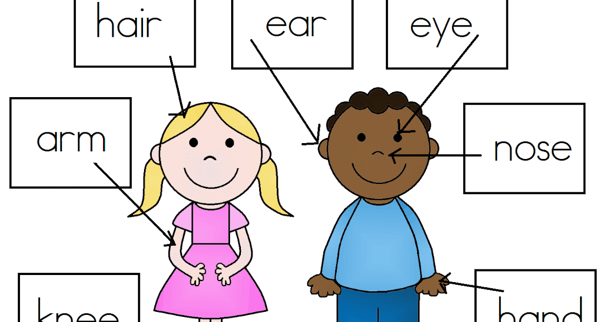 LESSON 4 - BODY (1) - Rudi Rood's English