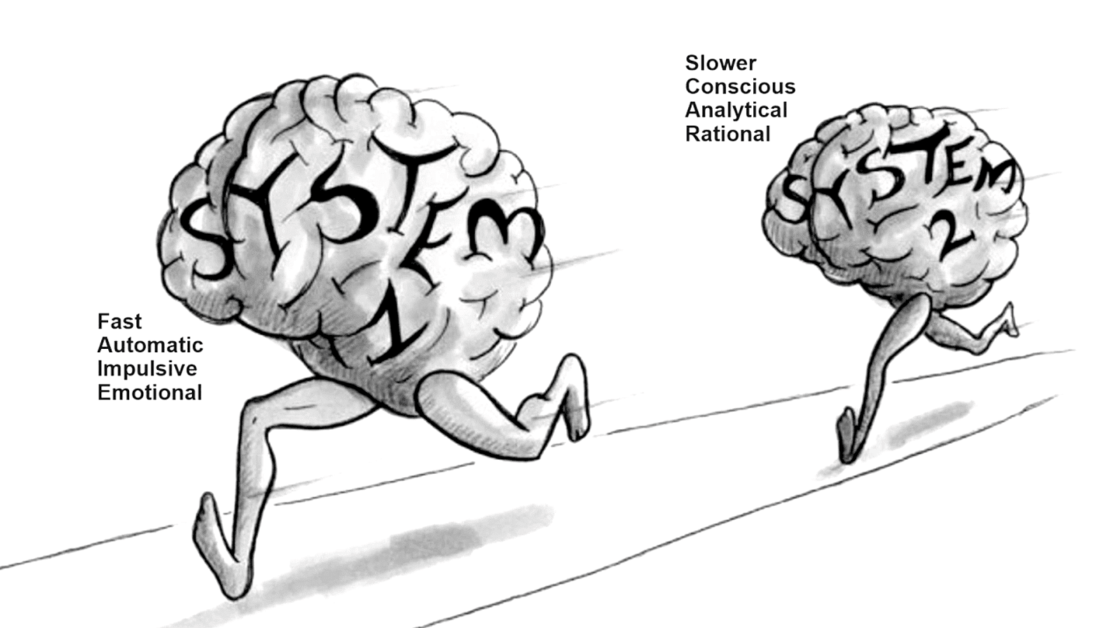 The Cognitive Psychology Psychology Choices the-cognitive-psychology-psychology-choices