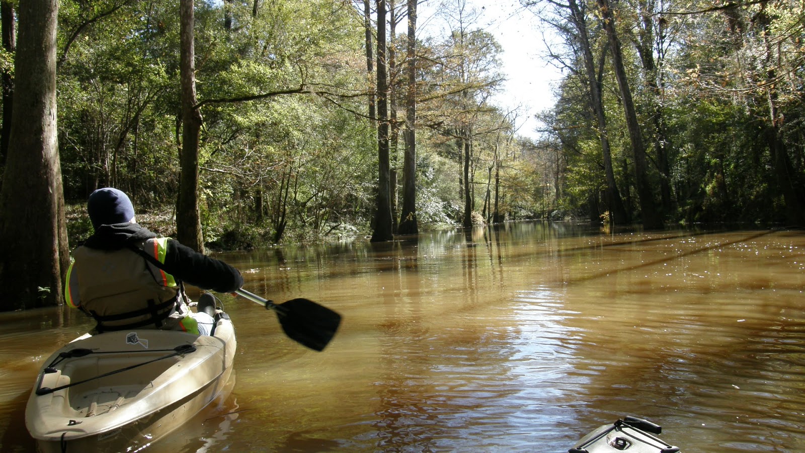 Kints: The Unfathomed: Big Swamp and Big Lake, 22 November 2015