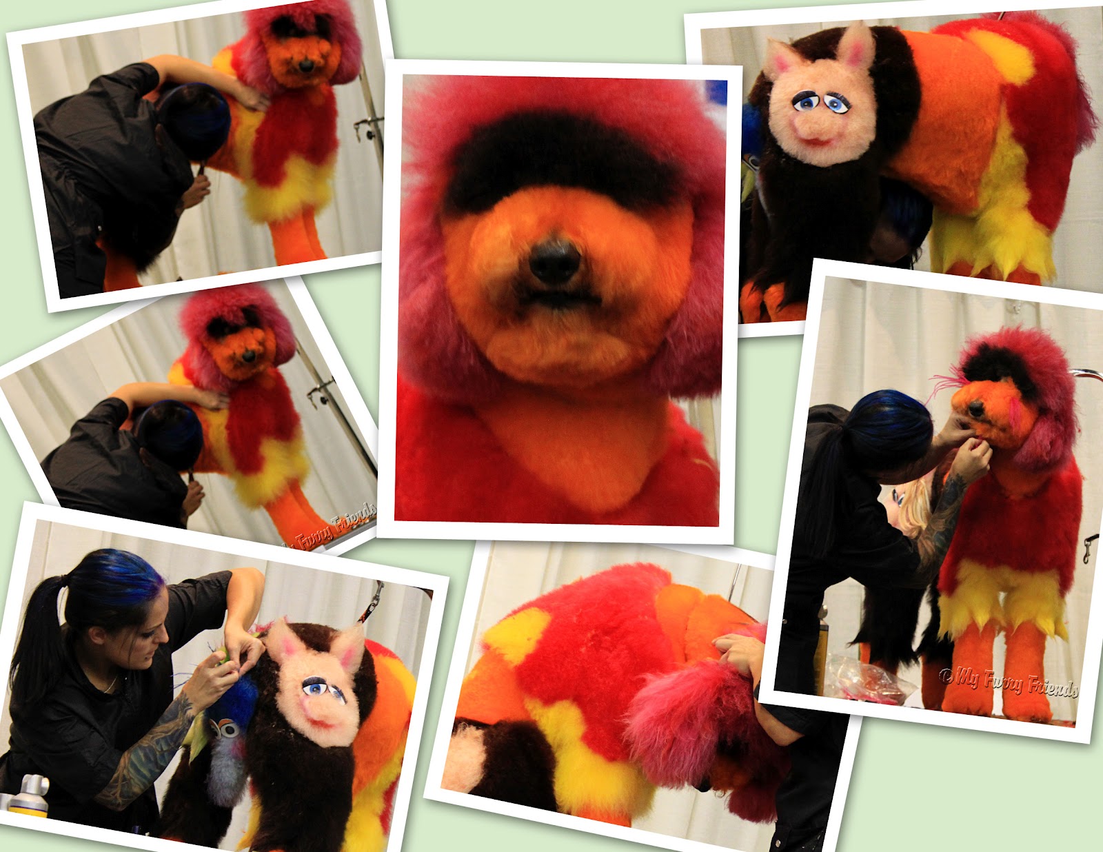 Pet Grooming: The Good, The Bad, & The Furry: Hershey Creative Grooming ...