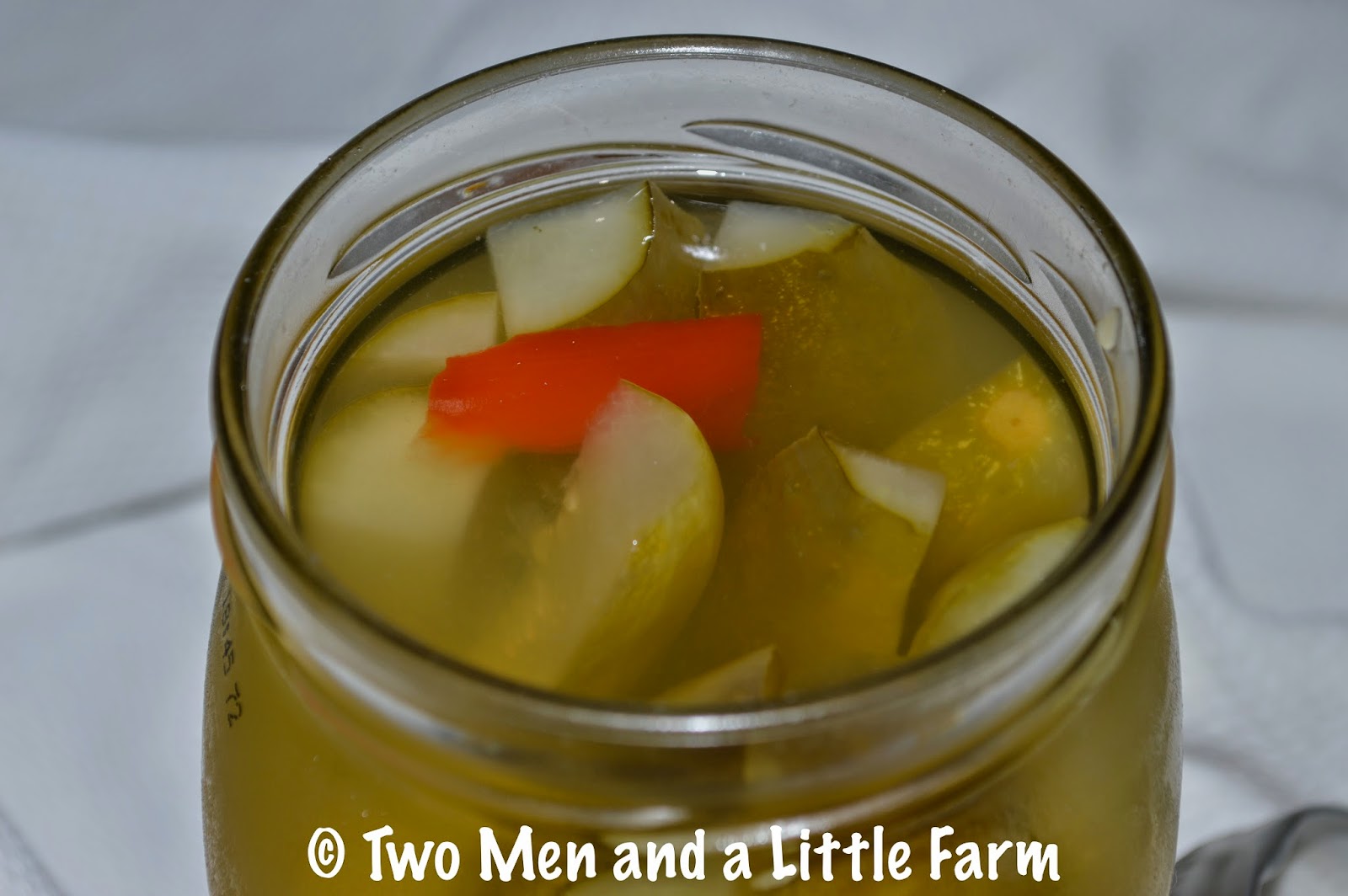 Two Men and a Little Farm: NEW VLASIC FARMERS GARDEN PICKLES