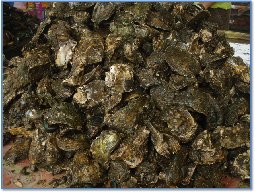 AngelCent: Tahong and Talaba