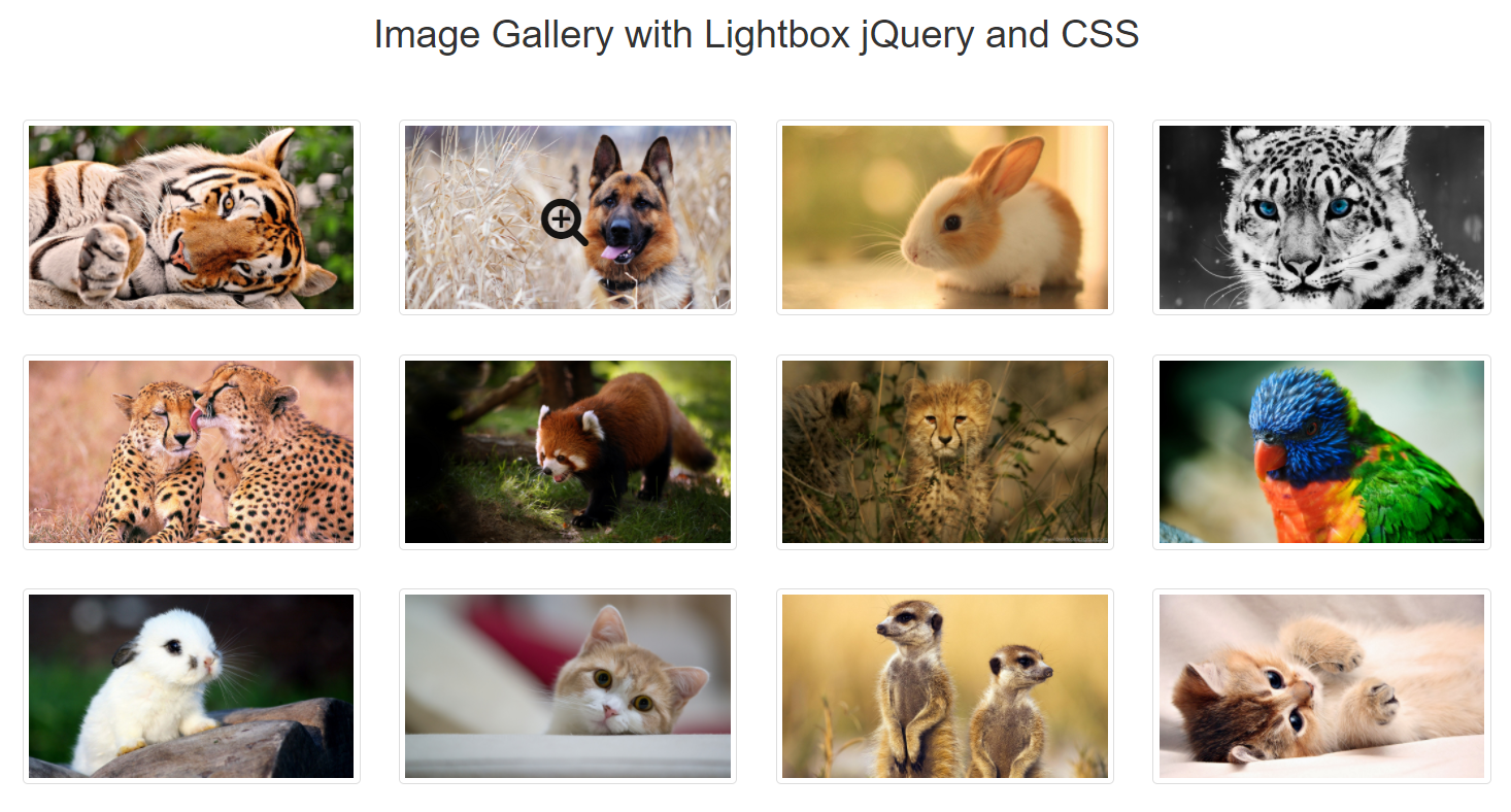 Image Gallery with Magnify Icon using HTML, CSS and jQuery (Lightbox ... Image Gallery with Magnify Icon using HTML, CSS and jQuery (Lightbox ...