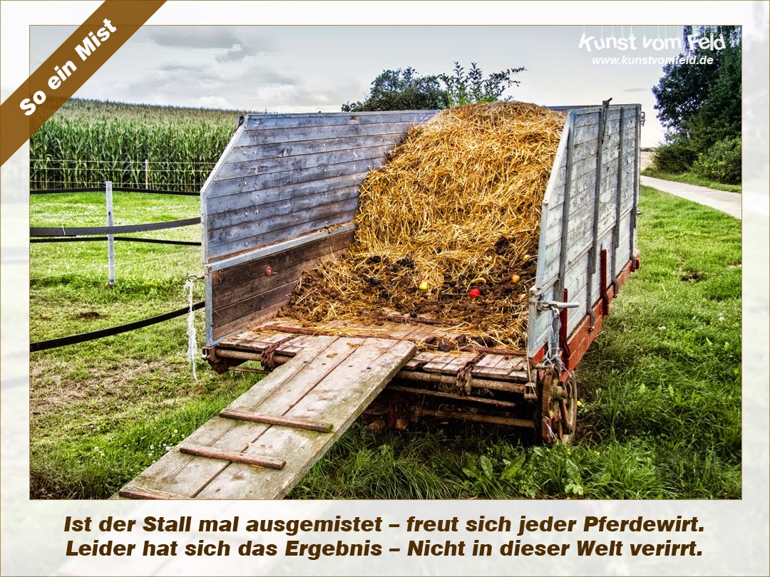 Kunst vom Feld: So ein Mist