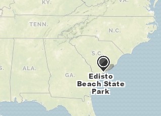 Edisto Beach State Park, SC | Flyin' the Coop