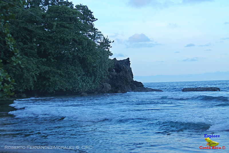 Playa Cocles de Limón | Explore Costa Rica