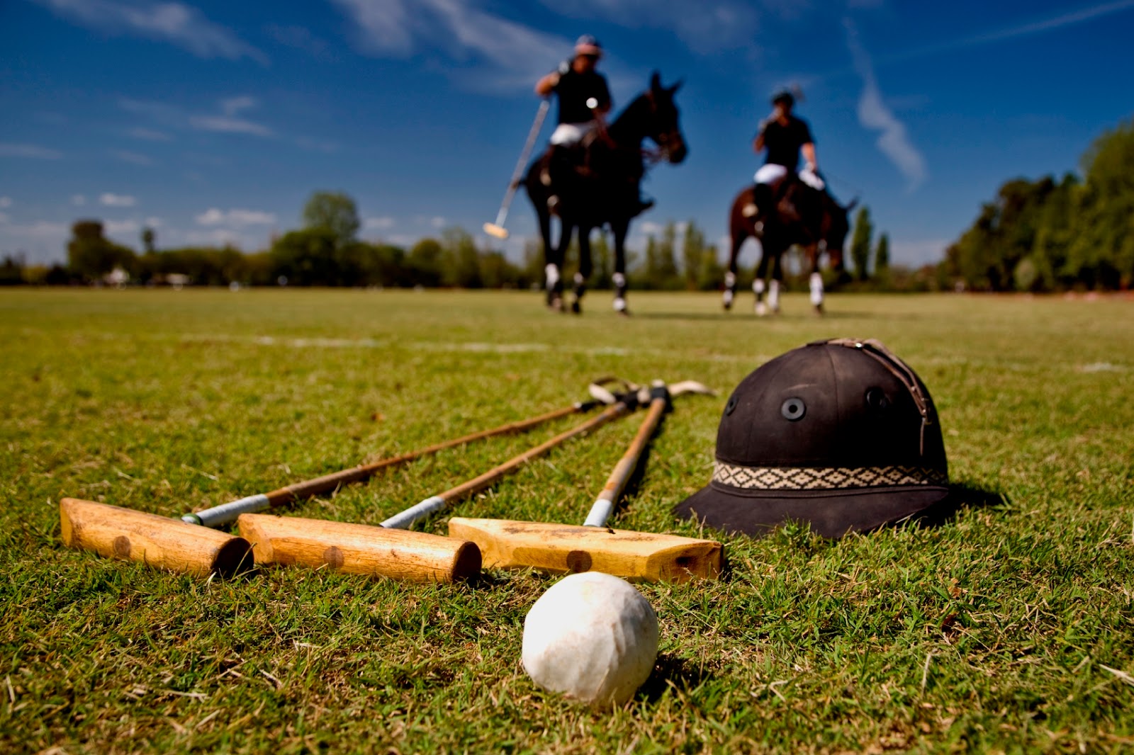 Todo Polo: ¿Cuánto cuesta practicar Polo?