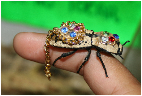 "Miradas, palabras y sentidos...": El Maquech o Makech