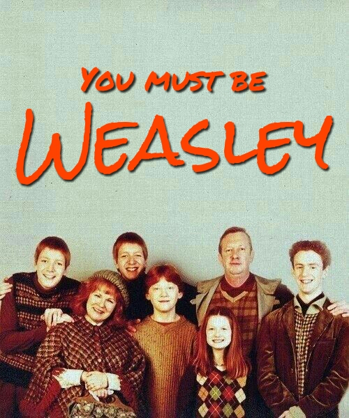 You Must Be Weasley :The Potterverse Most Loved Family
