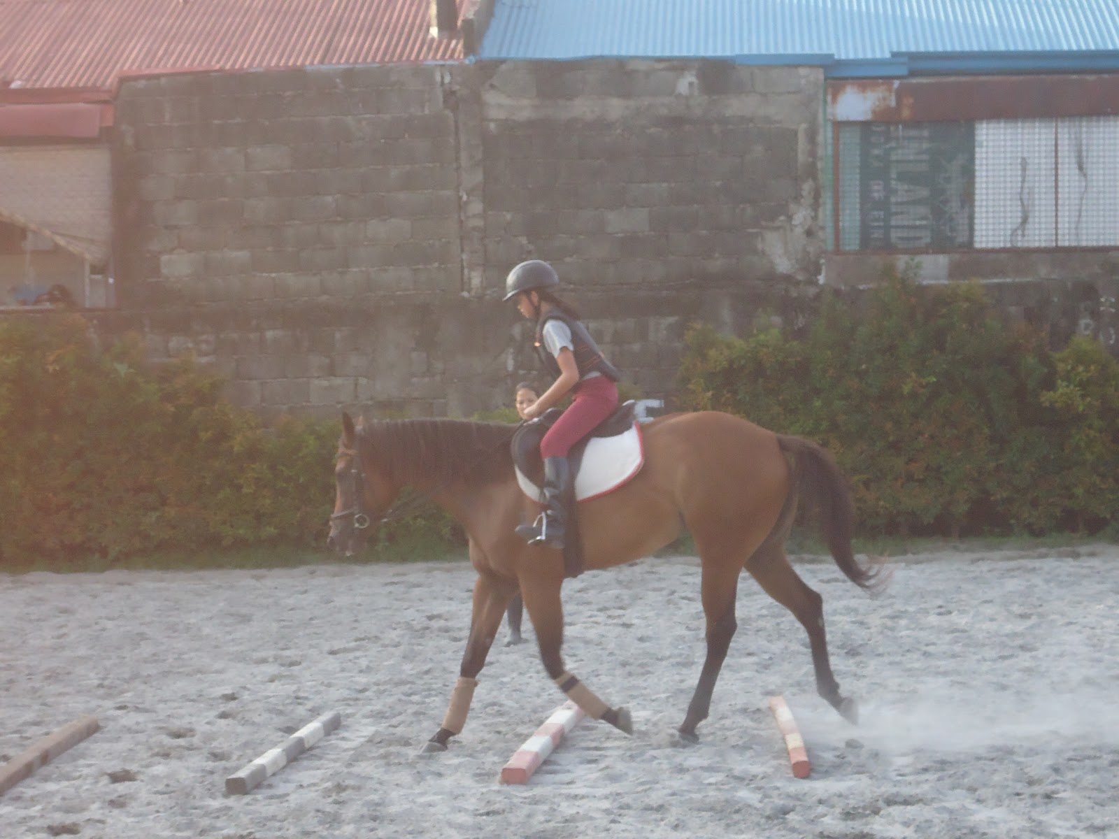 Horse Riding Philippines: June 2012