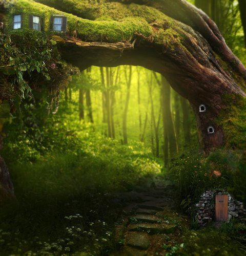 Gardening with the Fairies, Part III • Lianne Downey