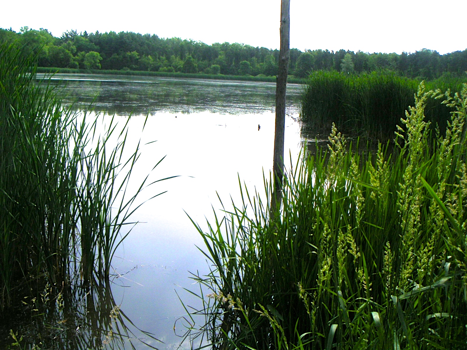 Chuck's Adventures: Biking Waterfall Glen in DuPage County