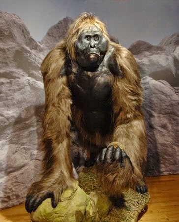 Documentalium: Mamíferos prehistóricos gigantescos