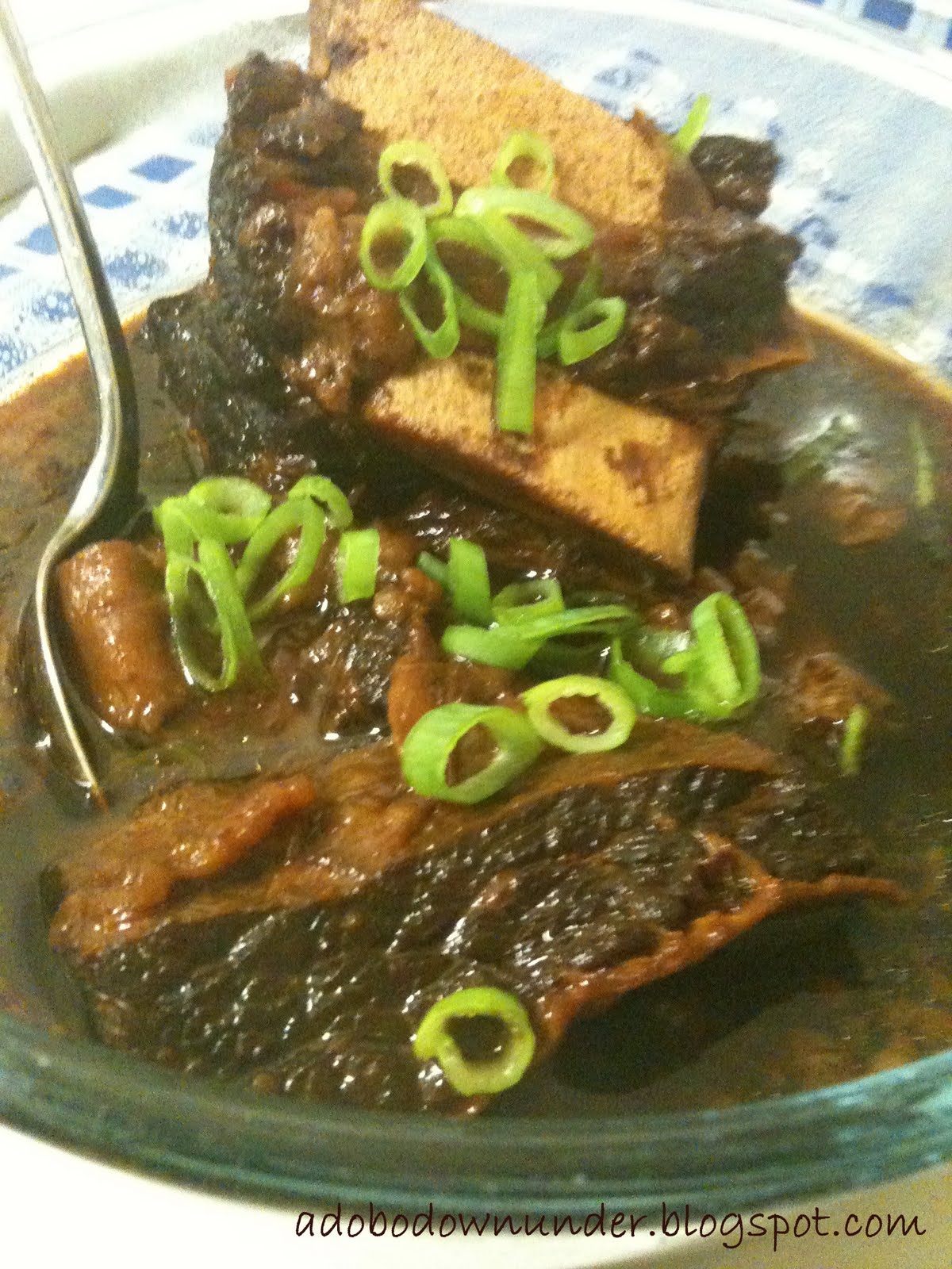 adobo down under: Korean beef stew / Kalbi Chim