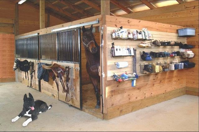 Horse Country Chic: Tack Rooms for the Rest of Us