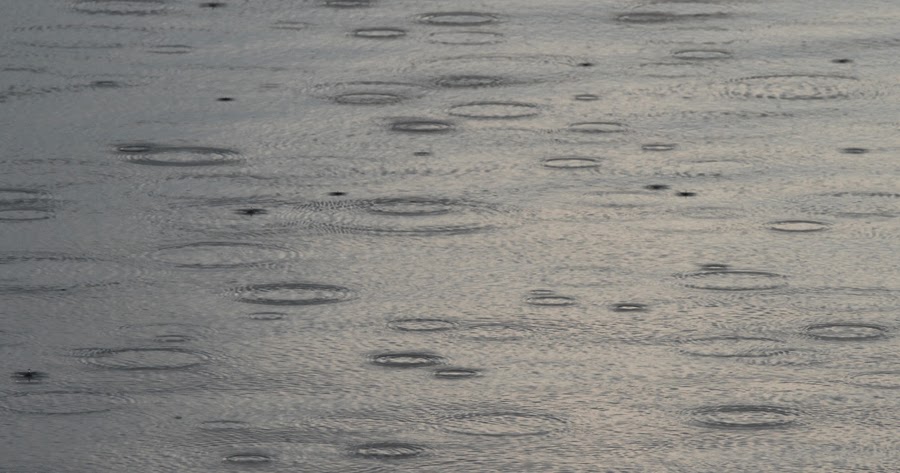 The Natural History of Bodega Head: Monsoonal moisture
