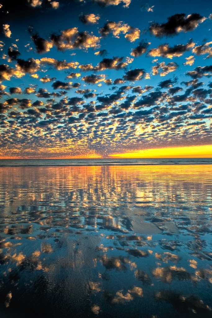 Jeannette Marshall : VISUALIZE it ... photos and images draw attention ...