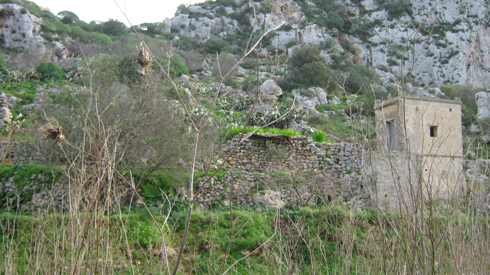 Alex Cassar: Arch1101