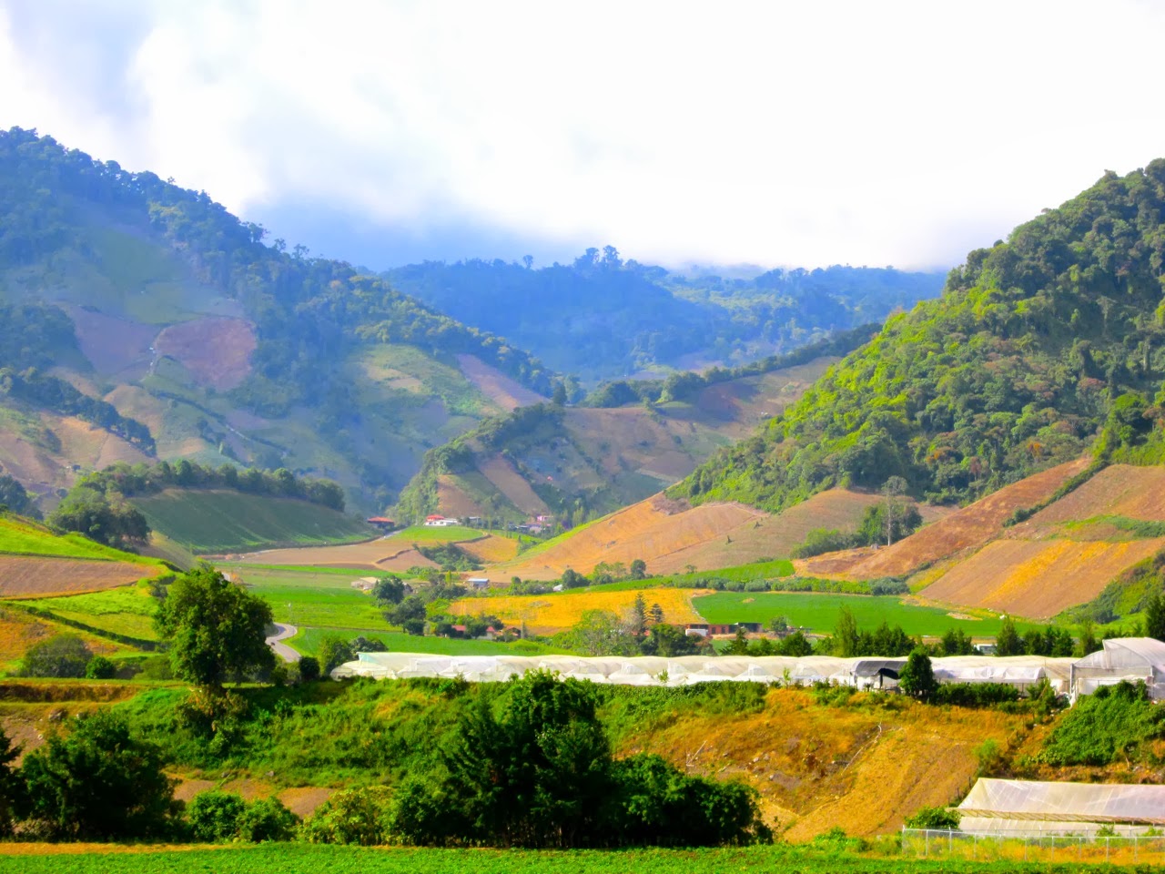 Cerro Punta, Panama, WRITTEN Report – Panama For Real