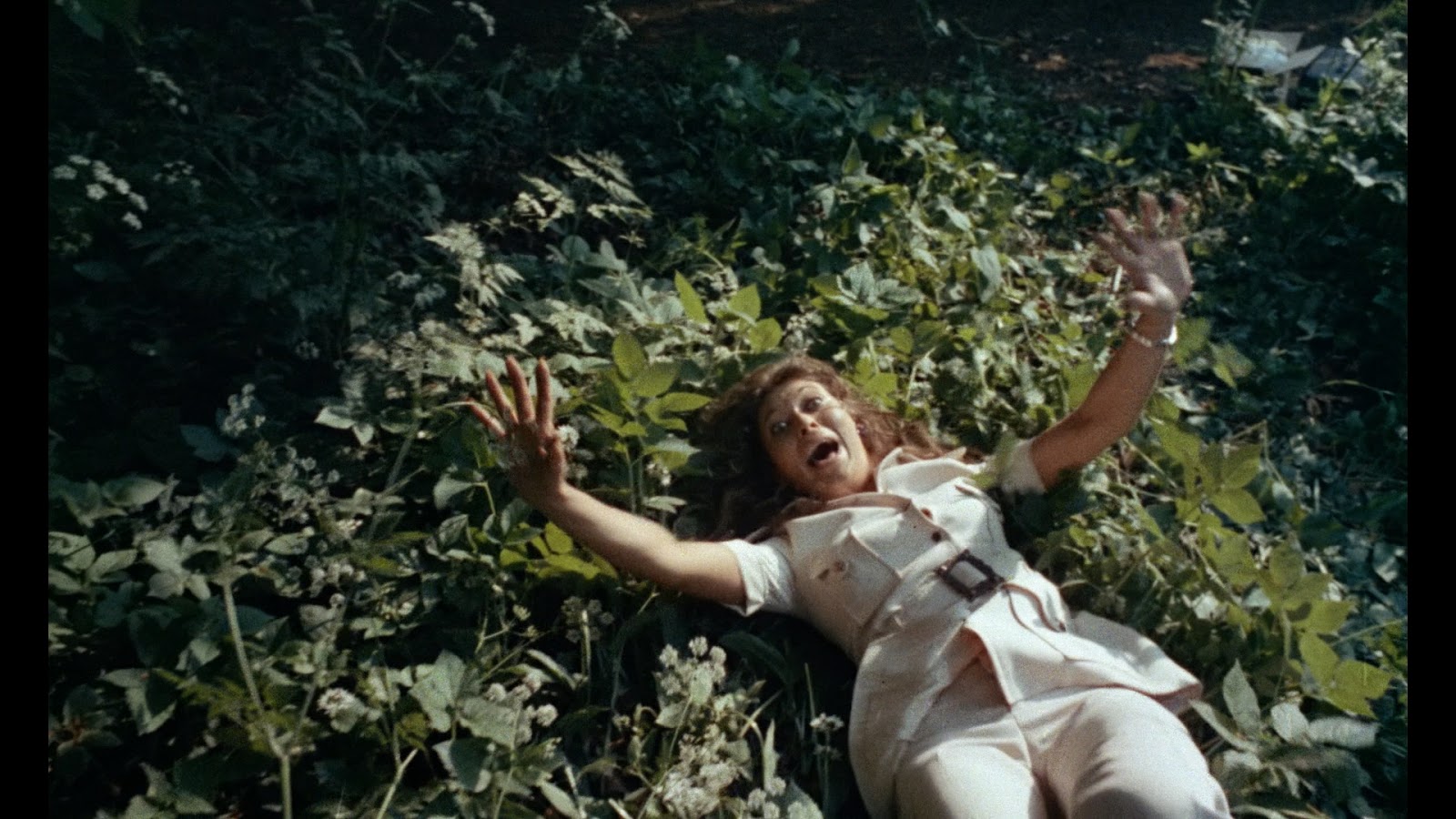 MCBASTARD'S MAUSOLEUM: THE DEVIL'S NIGHTMARE (1971) (Mondo Macabro Blu-ray Review)