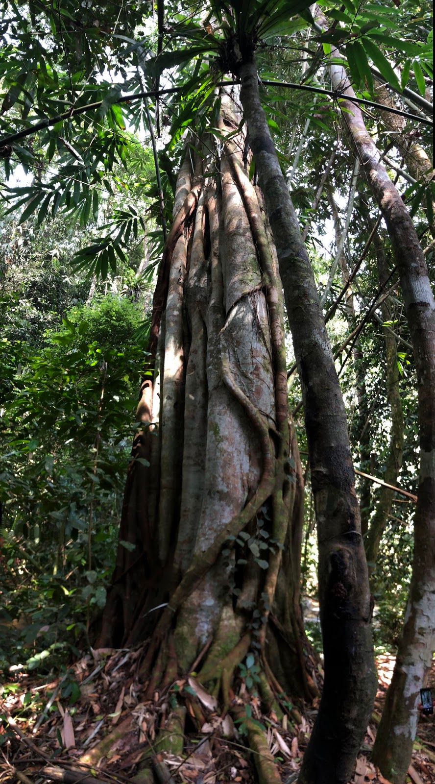 Adventurous: Lata Medang Waterfall @ Kuala Kubu Bharu