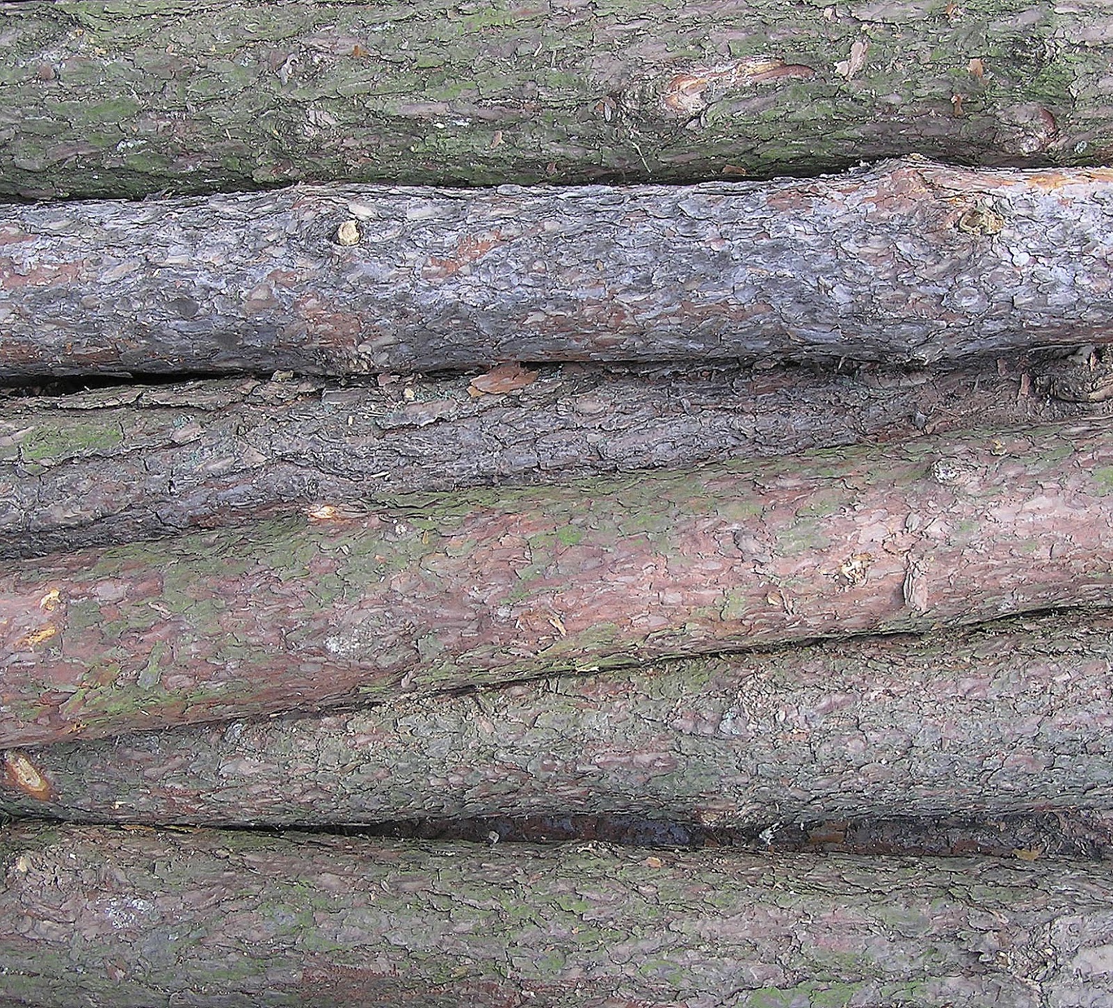 Thư viện 3D: [Mapping] WOOD TEXTURES