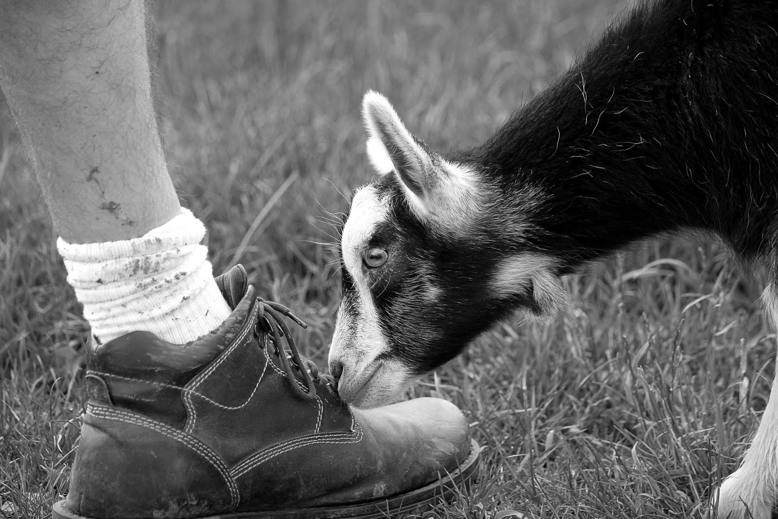 641 Cookery: A Cumbrian Retreat