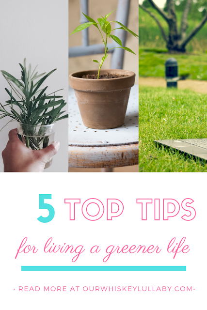 5 Top Tips for Living a Greener Life - Our Whiskey Lullaby