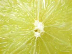 Cooking with Chef Alba : Lemons History and Culinary Uses