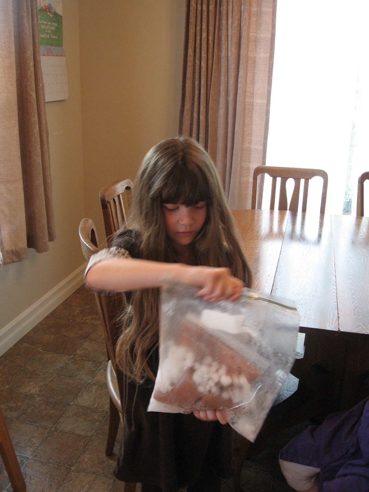 Almost Unschoolers: Homemade Hail Shakes