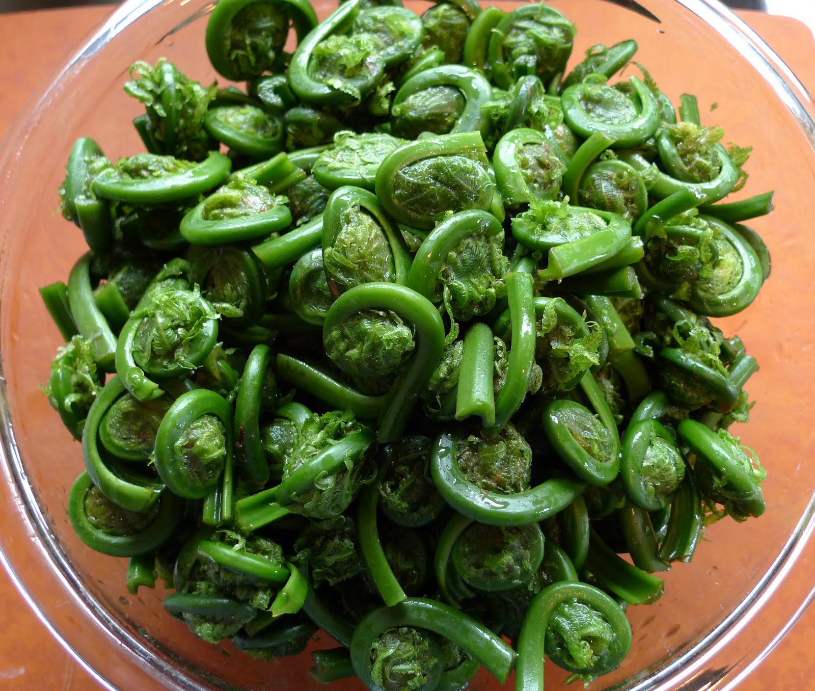 Pickled Fiddleheads - Backwoods Mama
