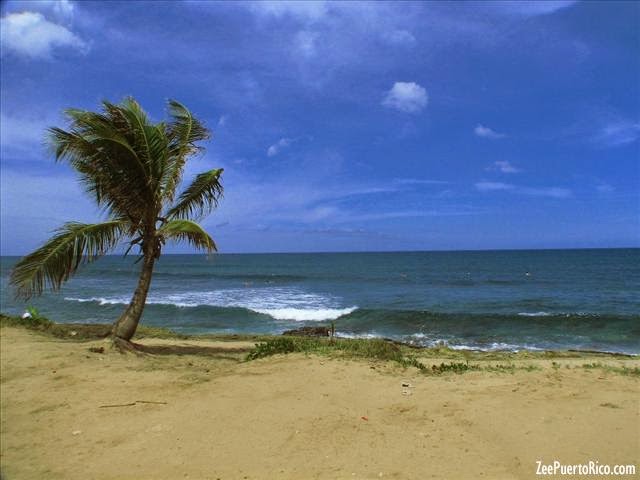 Puerto Rico, Isla Bella !!!: Wilderness Shore Break/Playa Wilderness ...