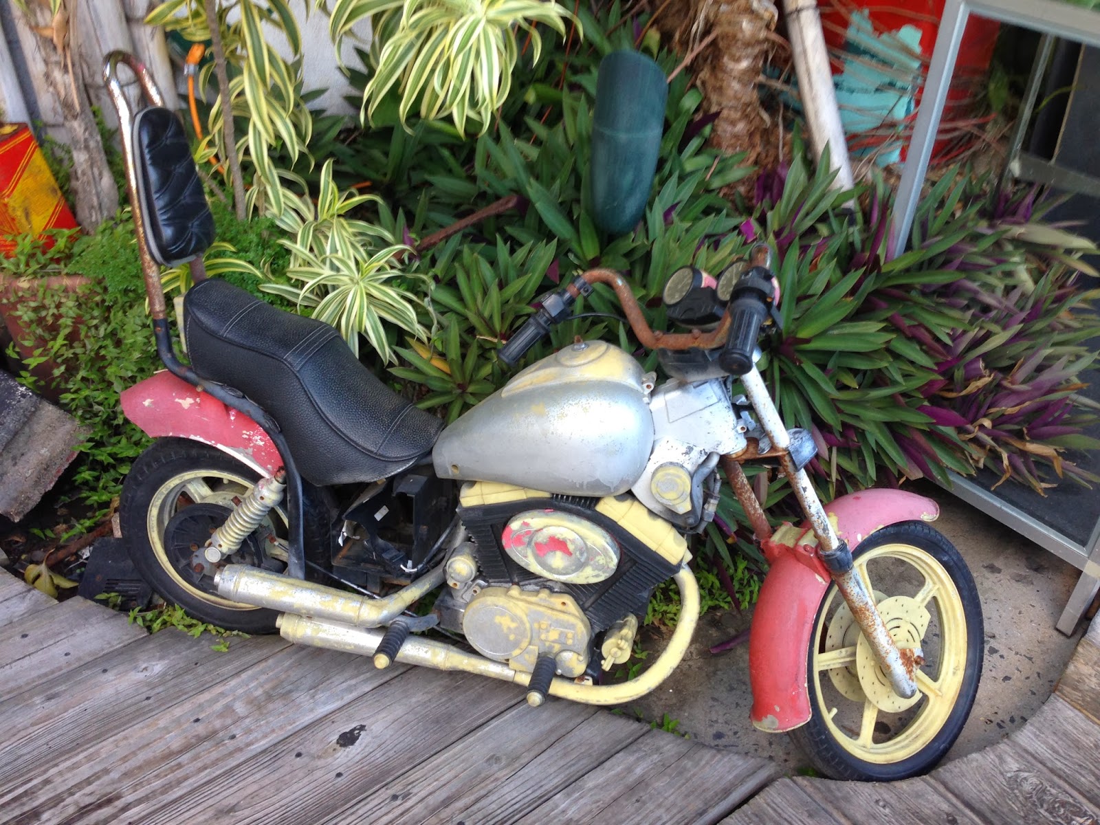 bluemopheads : Destination: Puerto Rico part 1