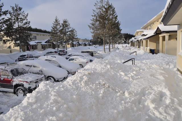 Japan!: Misawa Snow