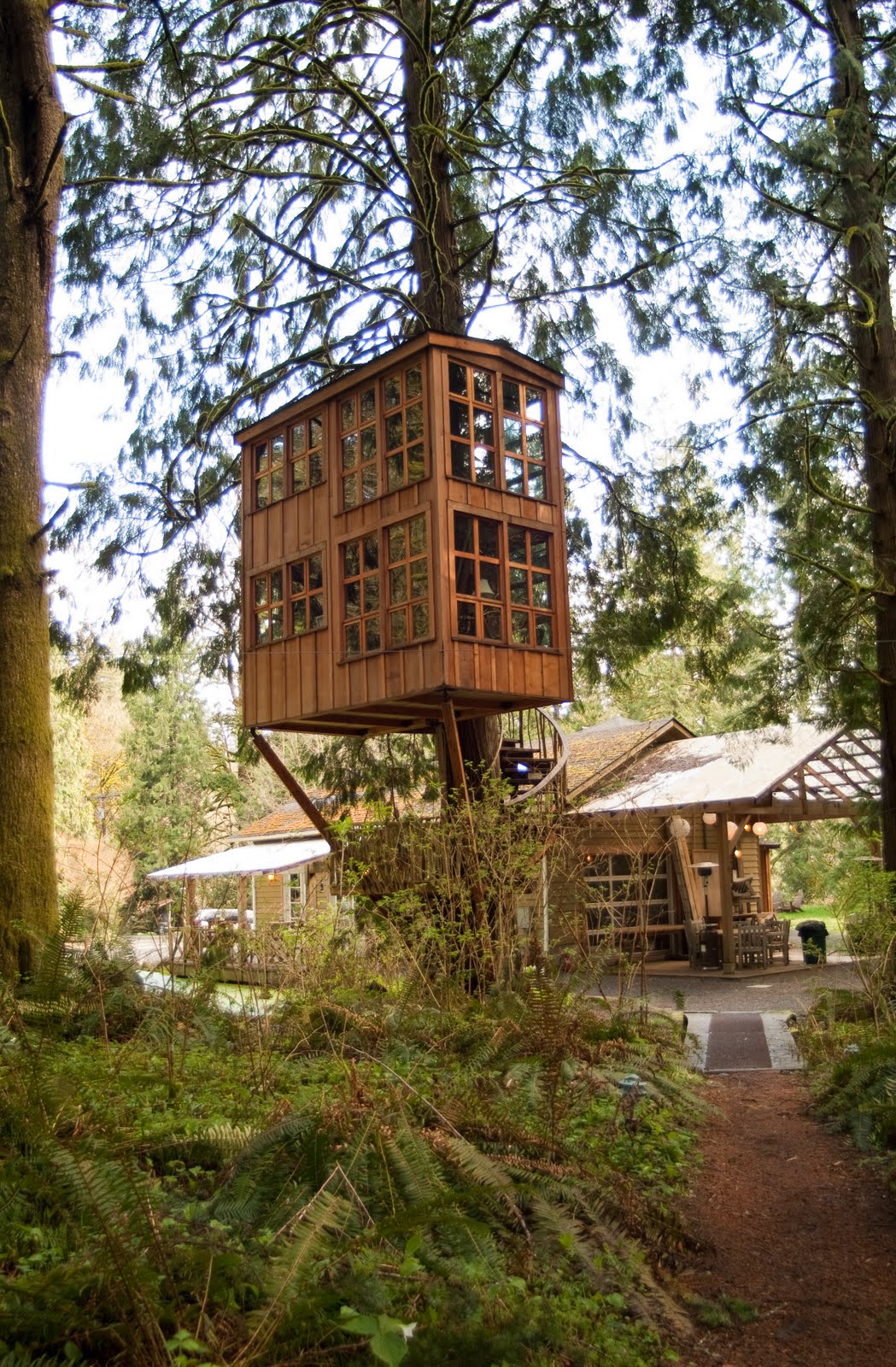 This is something I saw once.: Treehouse Point Weekend, Fall City