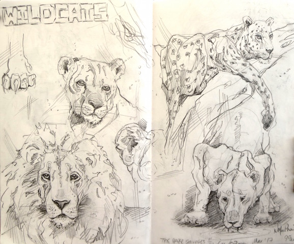 Nora MacPhail - Artist: Sketchbook - animal pages