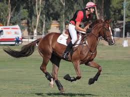 Caballos: Caballos PSI