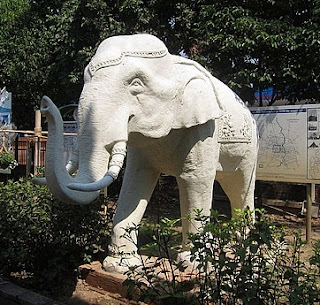 Story White elephant (albino elephant) - Genetic Disorders Blog Articles