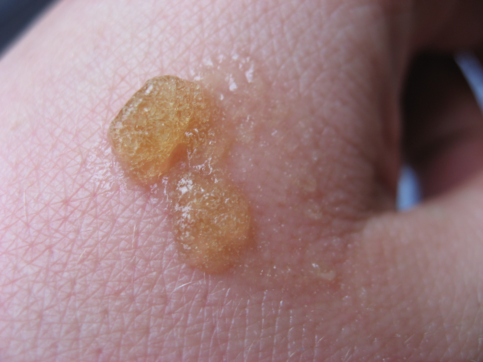 Sjena Vjetra: Wunderzeug: Silk Naturals Microdermabrasion Gel