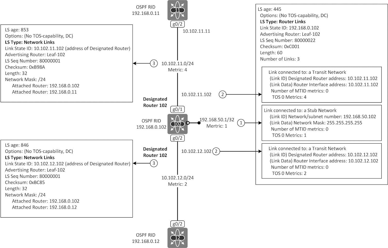 The Network Times Vxlan Underlay Routing Part I Ospf And Dijkstra Spf Algorithm