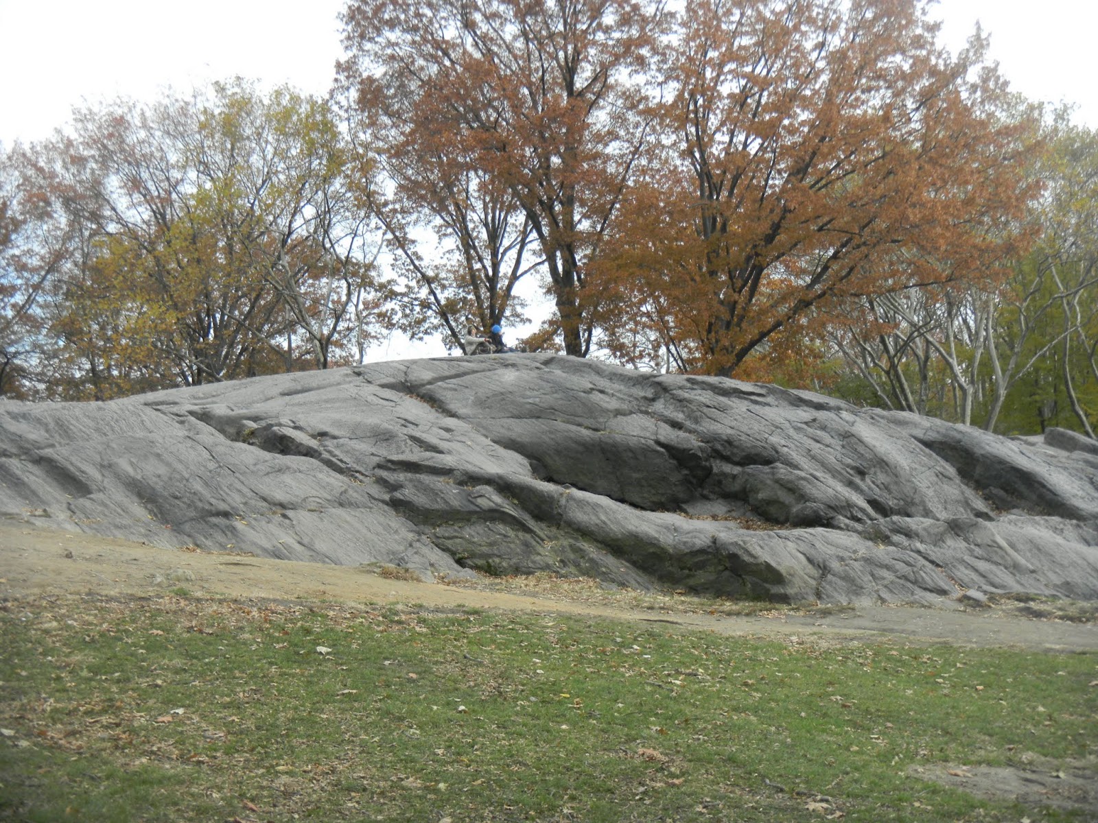 Glacial Evidences in Central Park