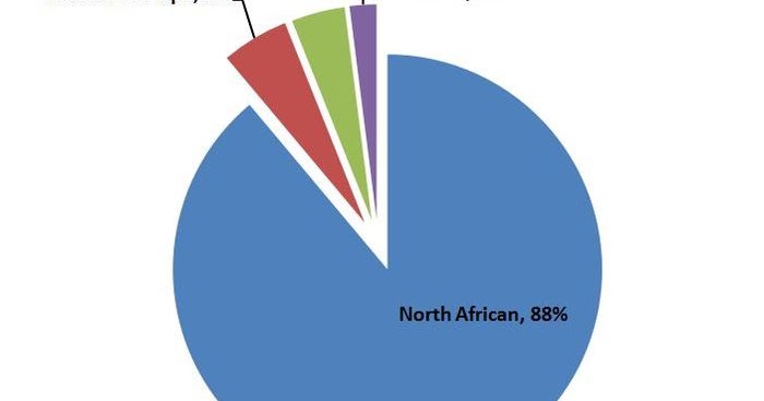 DNA shows where people in Arab countries came from - and some come from ...