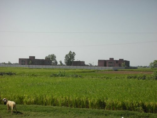 SULEHRI`S SECRETARIAT: CHAWINDA,"GRAVEYARD OF TANKS" TEHSIL PASRUR ...