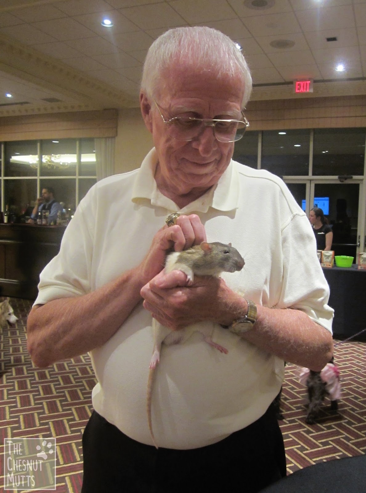 Healing Whiskers: Why Therapy Rats?