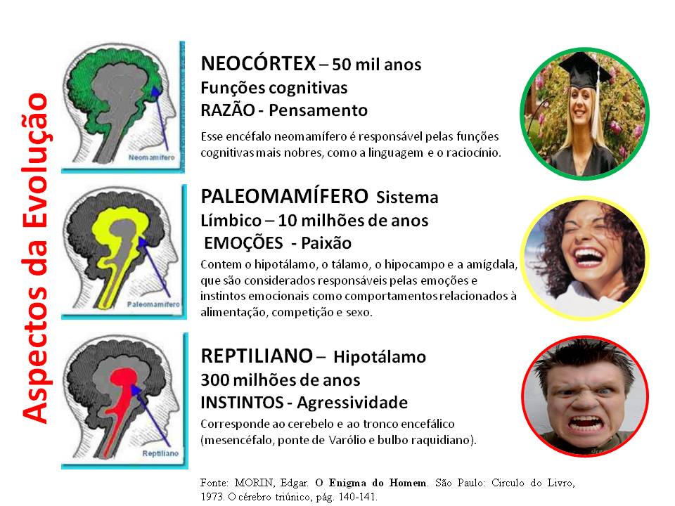 Jerri Almeida - Diálogos Filosóficos: PREDISPOSIÇÃO INSTINTIVA