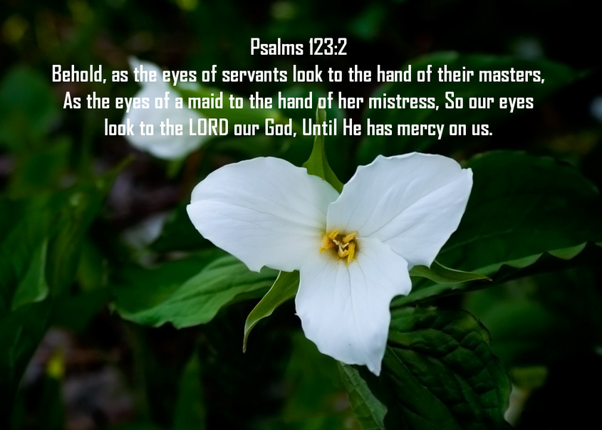 PATIENCE & LONG-SUFFERING (1)